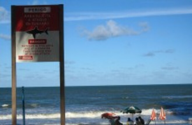 Tourist killed in Brazil shark attack · TheJournal.ie