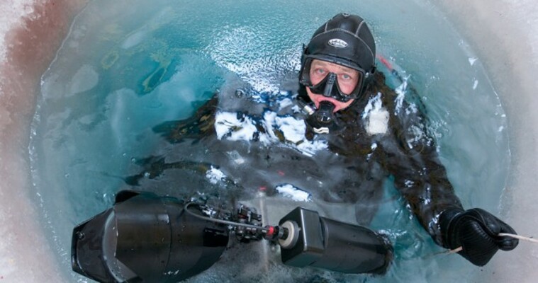 Meet the wildlife cameraman with the world's coolest job · TheJournal.ie