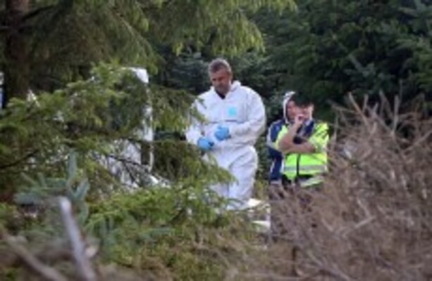 Post-mortem on skeletal remains to take place today · TheJournal.ie