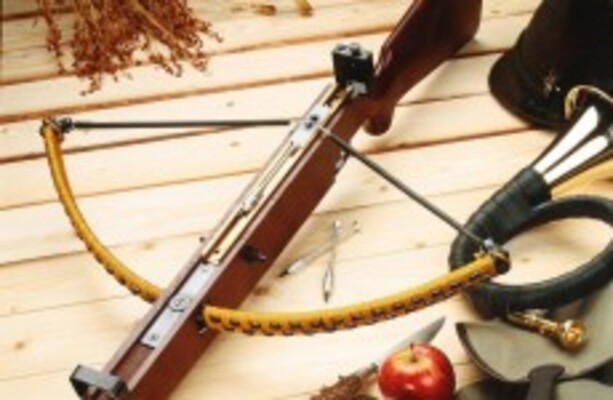 Crossbow shot through window in Belfast · TheJournal.ie