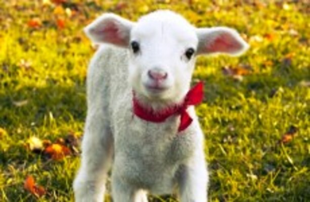 Column: When does spring really start? Let's clear this is up once and ...