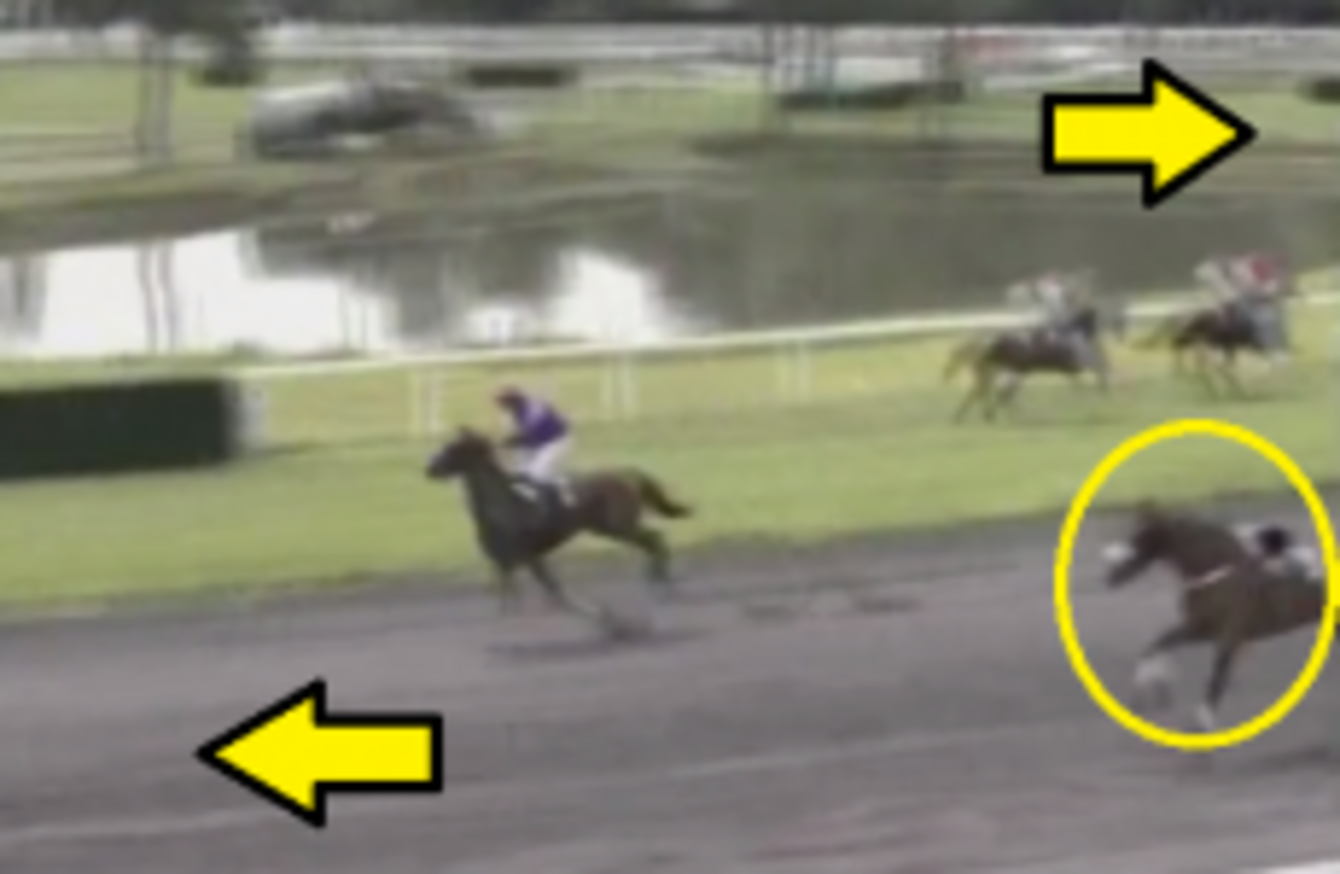 We are highly confident you have never seen a horse race as crazy as this
