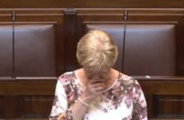 'I never fought with her over toys': Here is Anne Ferris's moving Dáil ...