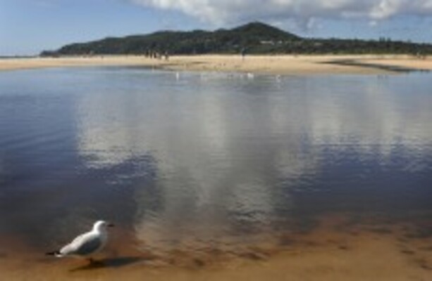 Family of Stuart Butler 'full of hope' their son will be returned to them