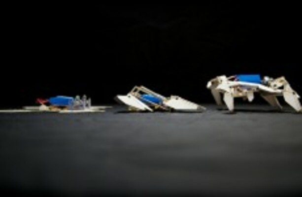 These freaky self-assembled robots build themselves from flat pack