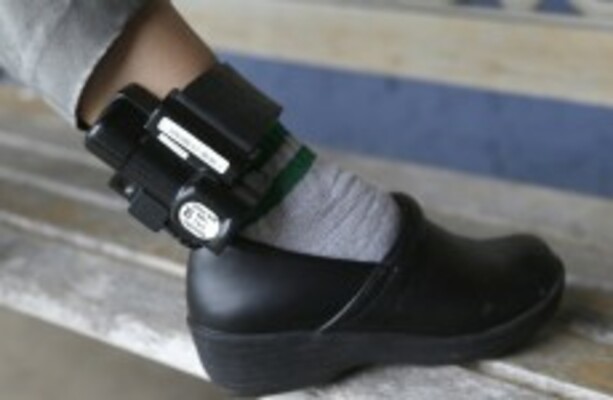 Electronic tagging costs the State €30,000 a year - but will it be ...