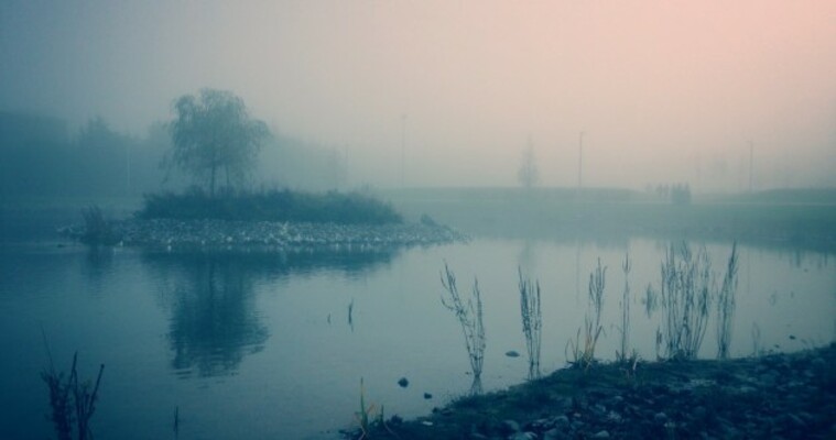 IN PICTURES: Ireland looks good covered in a blanket of fog