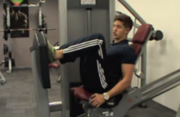 Ripped legs? You better believe it · The 42