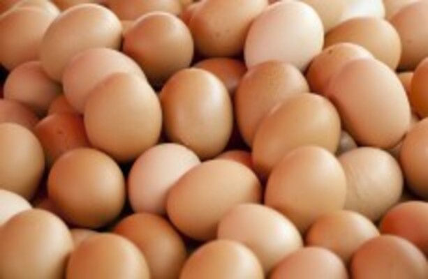 Ever wondered why Europeans don't refrigerate eggs, but Americans do?