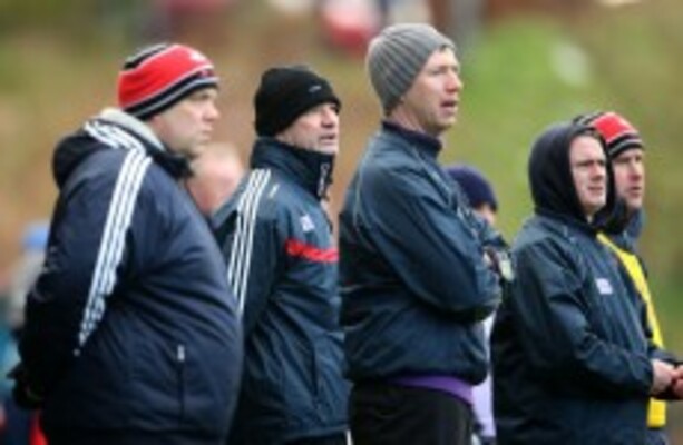 5 new faces added to Jimmy Barry-Murphy's Cork senior hurling squad for ...