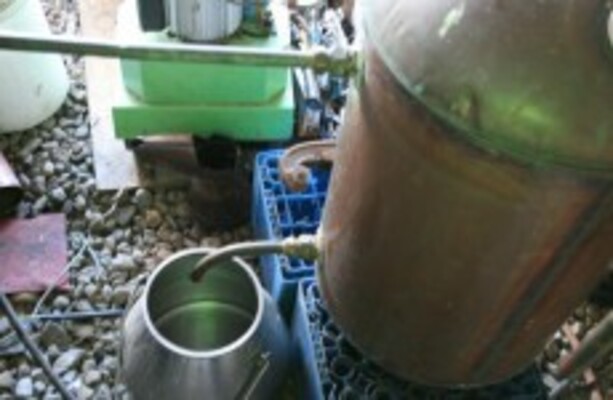 Pictures: Poitín-making equipment seized in Co Tipperary raid