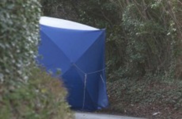 Man arrested over murder of Michael Devoy released without charge