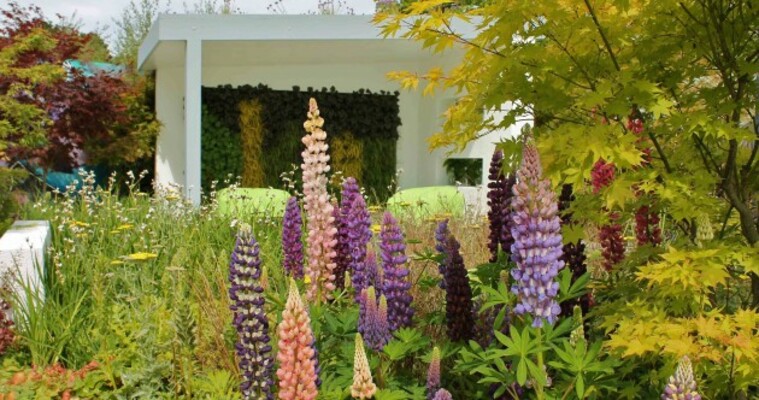 5 reasons you should go to Bloom this weekend · TheJournal.ie