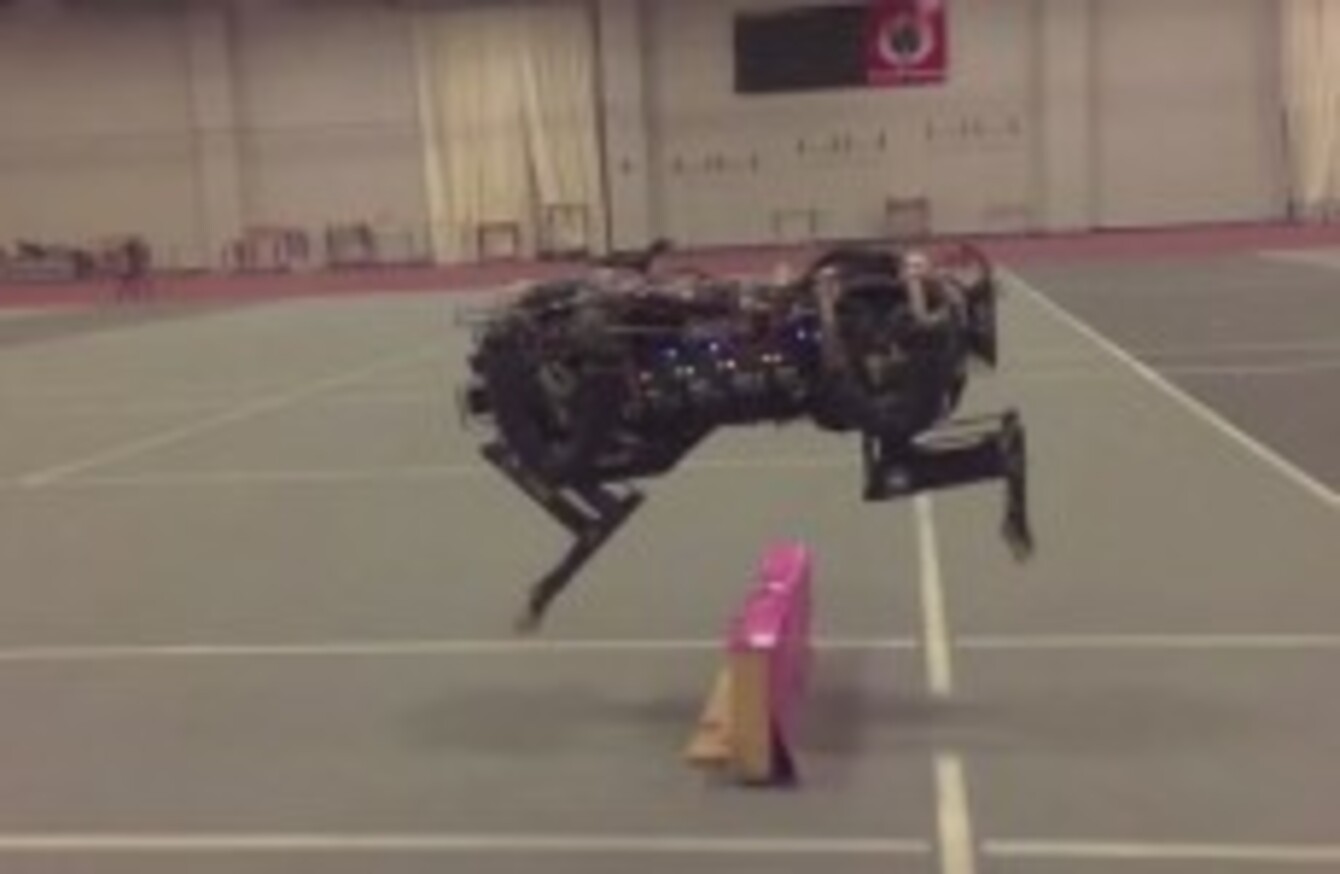 This four-legged robot can jump over walls without breaking its stride
