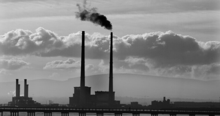 The Poolbeg Chimneys have some very unusual residents · TheJournal.ie