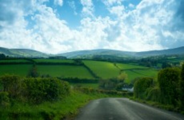 Dublin won't save rural Ireland, it needs to grow up and be allowed to ...