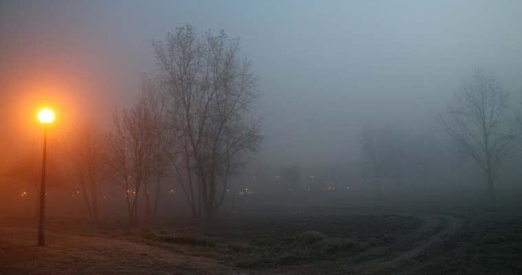 Not a fan of the dark evenings creeping in? Here's how to get through ...