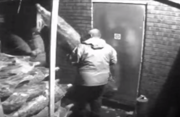 CCTV footage shows 190 Christmas trees being stolen from mini market
