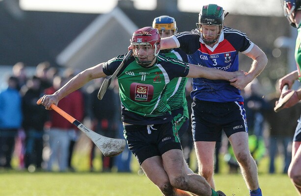 Austin Gleeson shown a red card as Davy Fitz's LIT reach Fitzgibbon Cup ...