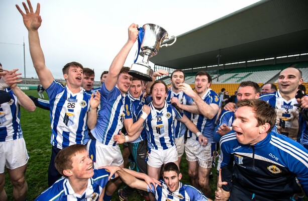 A closer look: Ballyboden St Enda's has heart and soul to match ...
