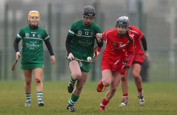 Limerick upset All-Ireland champions Cork in cracking start to camogie ...