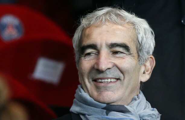 Ex-France boss Raymond Domenech claims he came close to managing Ireland