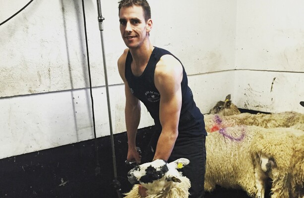 VIDEO: Donegal man beats world record for shearing sheep in fastest time