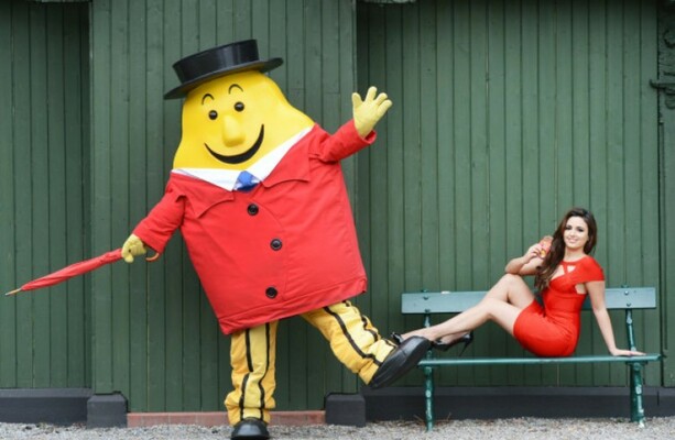 Let's settle this once and for all - Mr Tayto is a potato, not a giant ...