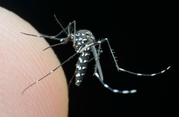Zika health emergency declared across half of Peru · TheJournal.ie