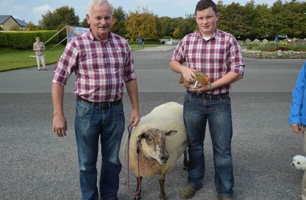 Dogs, sheep, goats and people gathered at Knock for the Blessing of Pets