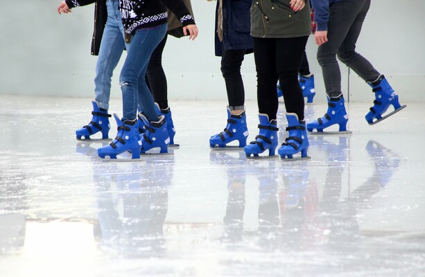 Ice rink using dead fish to attract visitors forced to shut down