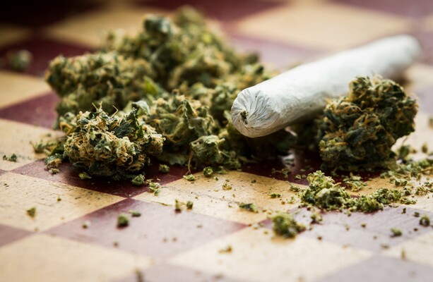 92% of Irish people believe that cannabis should be legalised when ...