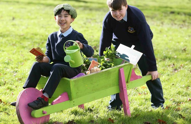 45,000 children are set to sow, grow (and eat) their own fruit and veg ...