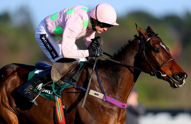 Douvan wins at Punchestown to underline Cheltenham credentials · The 42