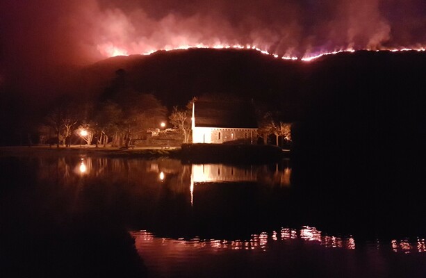 'It was scary last night. You could hear animals in the valley': Gorse ...