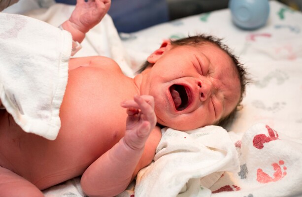 92 hospital discharges of newborns with drug withdrawal symptoms last year