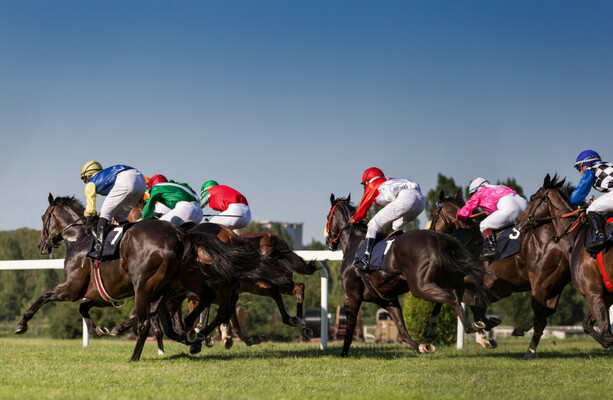 Race fixing and money laundering: How the horse racing industry fights ...