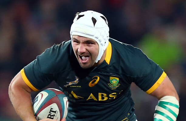 Northampton sign Springbok flanker Brussow to fill Picamoles void