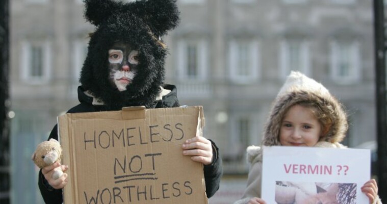 In pictures: cat protest takes place outside the Dáil · TheJournal.ie