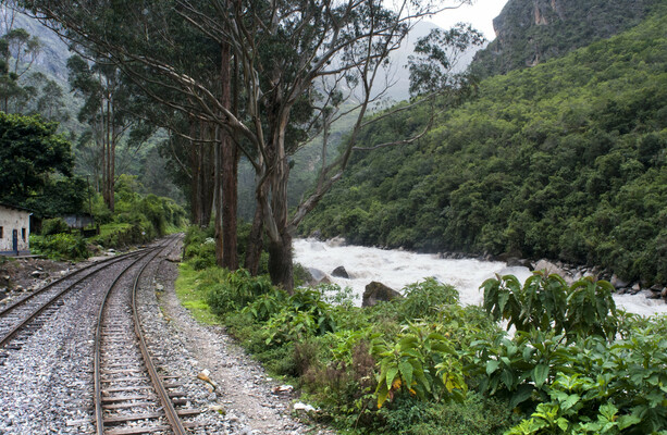 River searched for 16 missing people after Peruvian bridge collapses ...