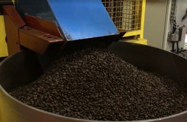 Made in Ireland: How Java Republic goes from bean to cup - Fora