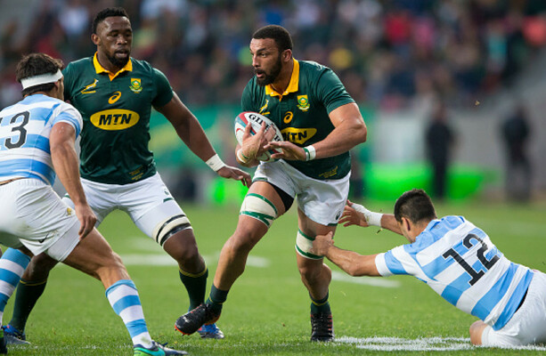 Scarlets bolster back row with addition of Springbok number eight