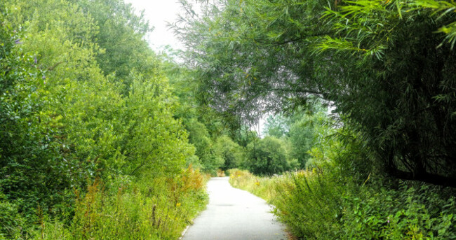 Your guide to Bishopstown and Wilton: Acres of green and students ...