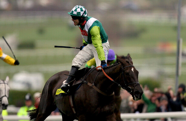 2008 Gold Cup winner Denman 'put to sleep painlessly' aged 18 · The 42