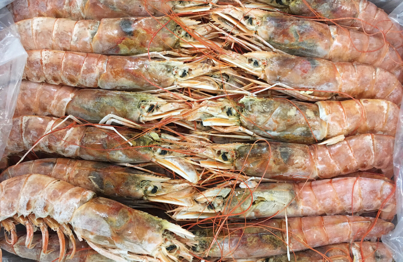 'Crayfish plague' may be to blame as large numbers of the crustacean ...