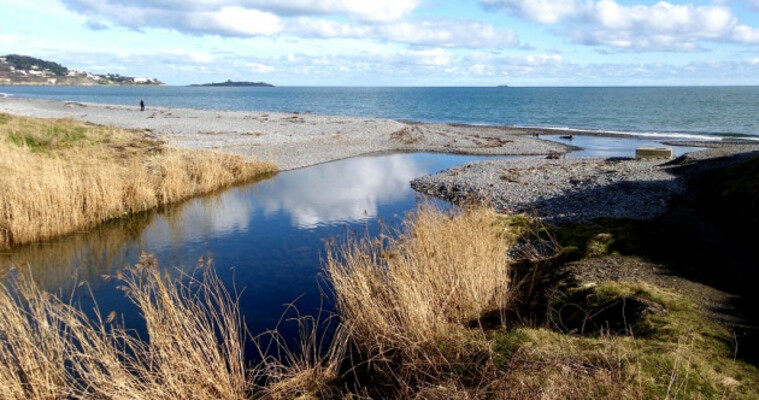 Your guide to Shankill and Loughlinstown: Seaside village with a ghost ...