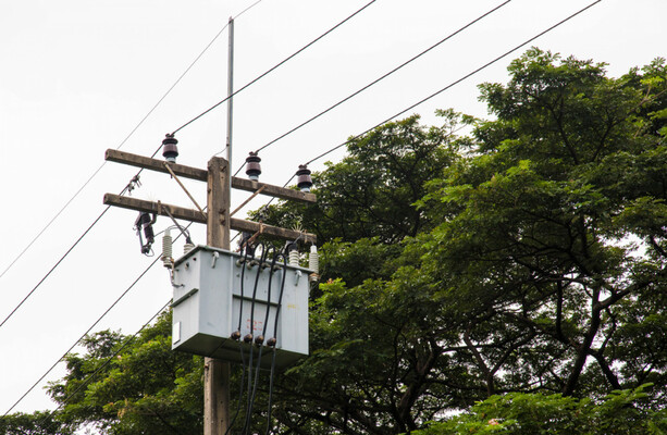 People warned about dangers of power lines when cutting trees