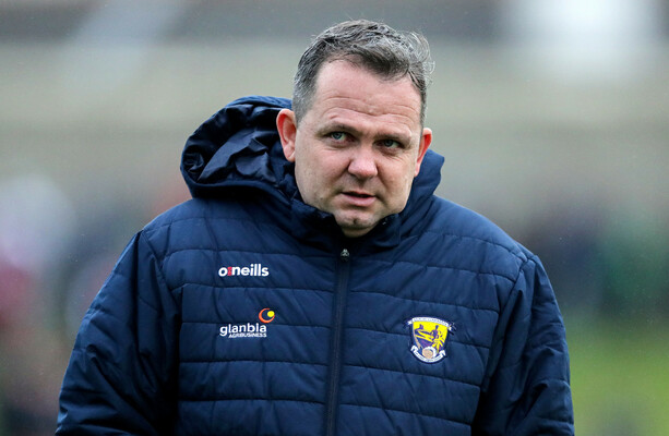 New job for Davy Fitz as Wexford manager takes coaching role with 2017 ...