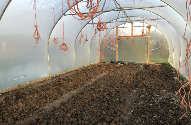 From the Garden: The spirit of meitheal lives on as the neighbours come ...