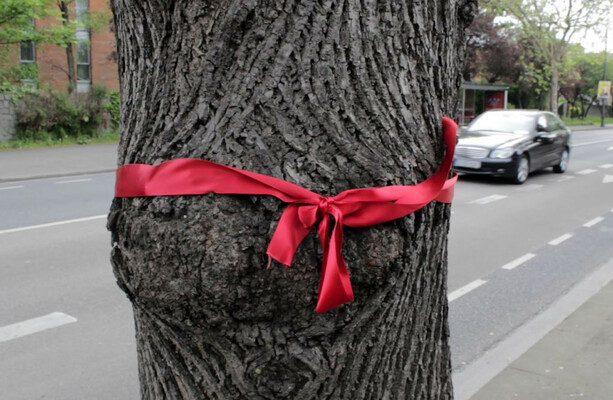 South Dublin locals have been tying ribbons to trees in protest at the ...